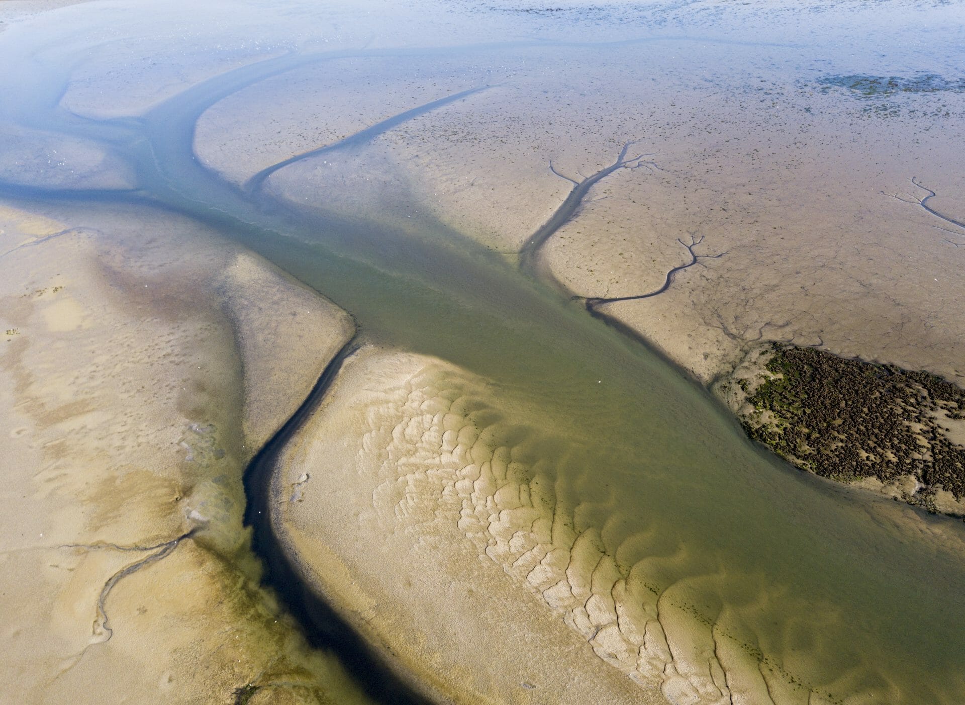 Doel: Vergroten van de kennis over het Waddengebied - Waddenvereniging
