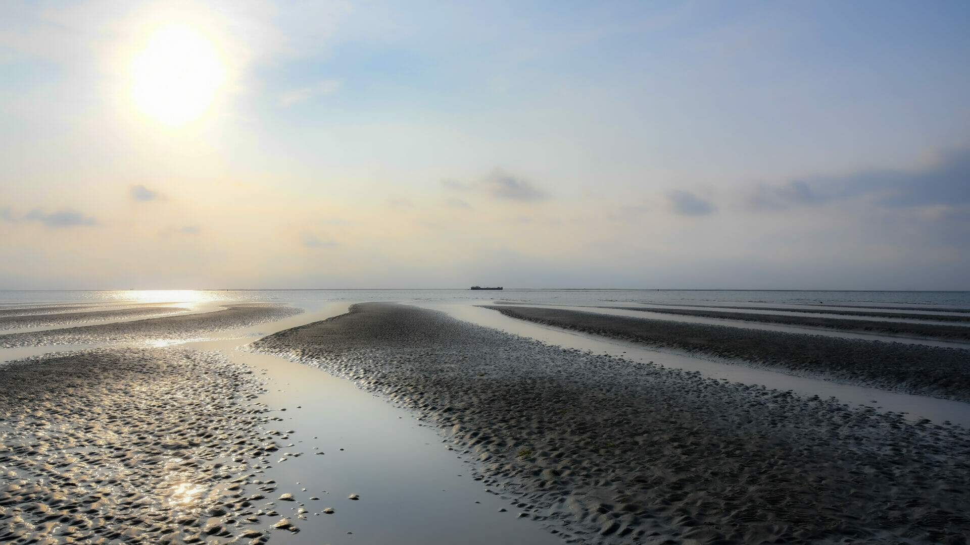 Ecologische effecten garnalenvisserij, minder vissen is goed voor ...